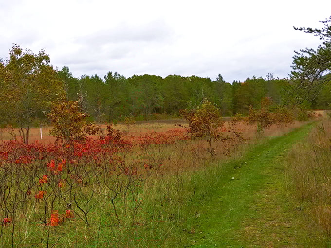 Mill Bluff State Park 7