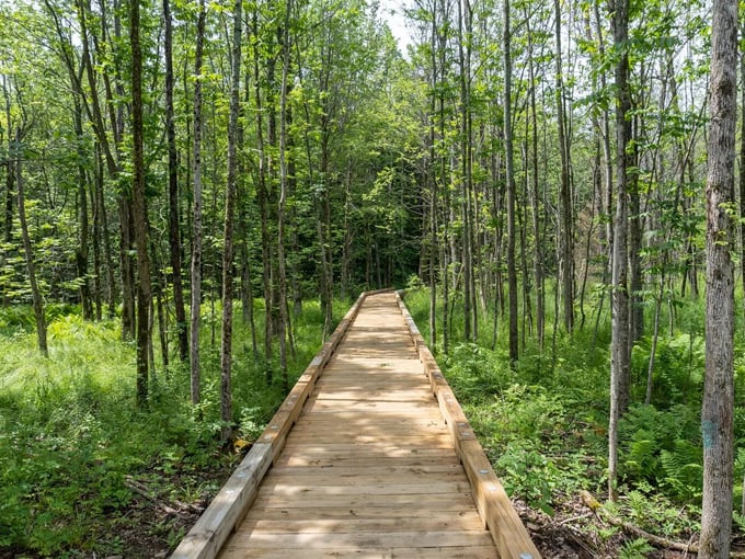 Morgan Falls at St. Peter's Dome Recreation Area 2