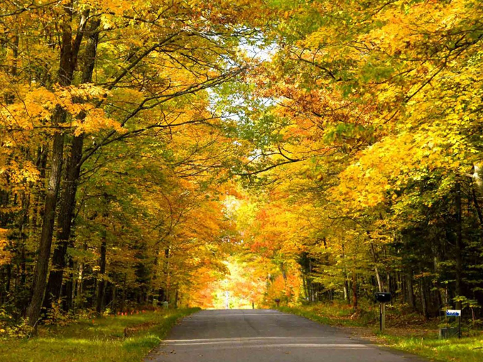 Nicolet-Wolf Scenic Byway 2