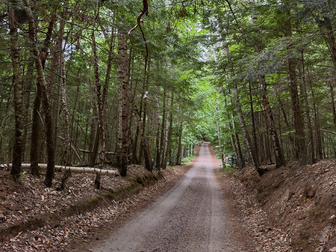 Nicolet-Wolf Scenic Byway 6