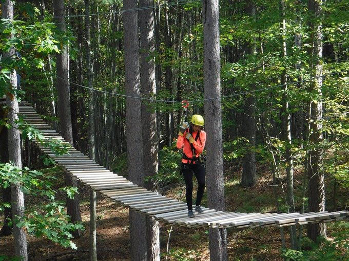 Northwoods Zip Line 5