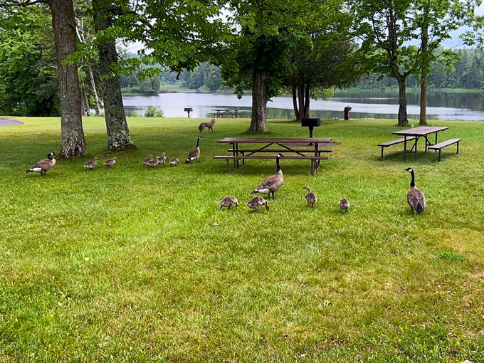 Pattison State Park 9