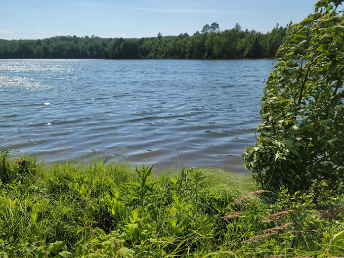 Pickles Bar & Grill LLC 8