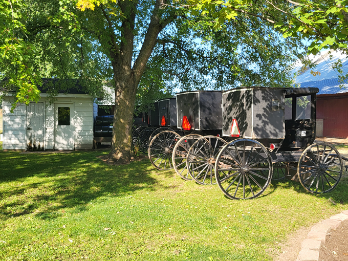 Pleasant View Bakery 7