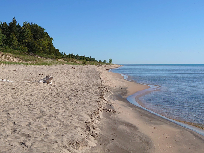 Point Beach State Forest 2