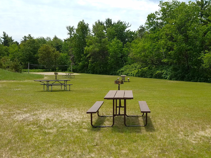 Point Beach State Forest 6