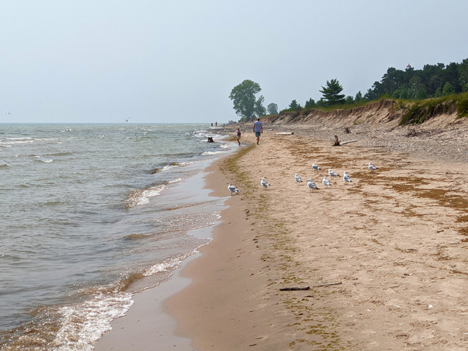 Point Beach State Forest 8