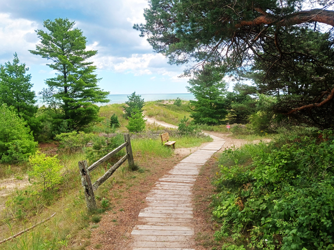 Point Beach State Forest 9