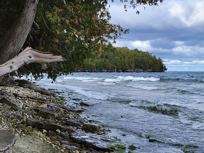 Porte des Morts Park 4