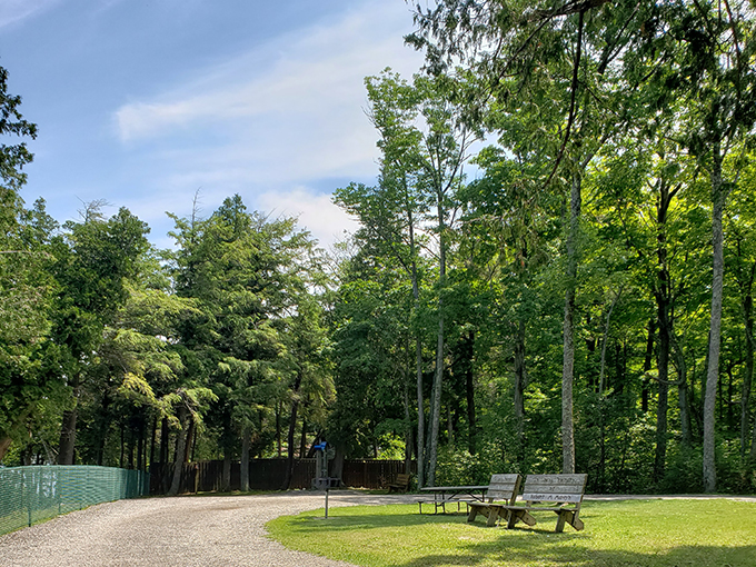 Porte des Morts Park 7