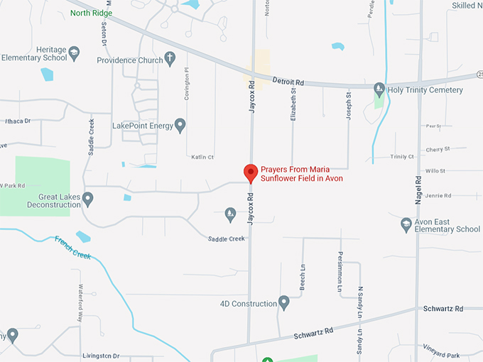 Prayers From Maria Sunflower Field in Avon 10 Map