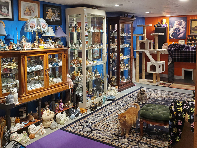 Redner's Rescued Cat Figurine Mewseum 2