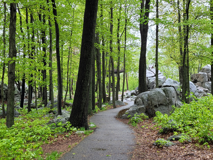 Rib Mountain State Park 3
