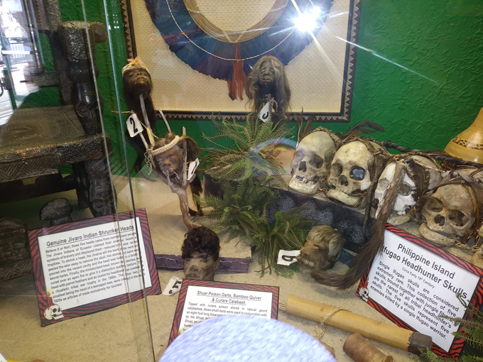 Ripley&rsquo;s Believe It Or Not 3