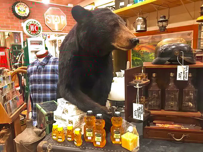 Roadside Attractions Antique & Curiosity Shop 6