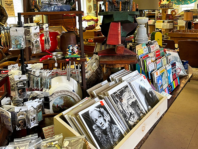 Roadside Attractions Antique & Curiosity Shop 4