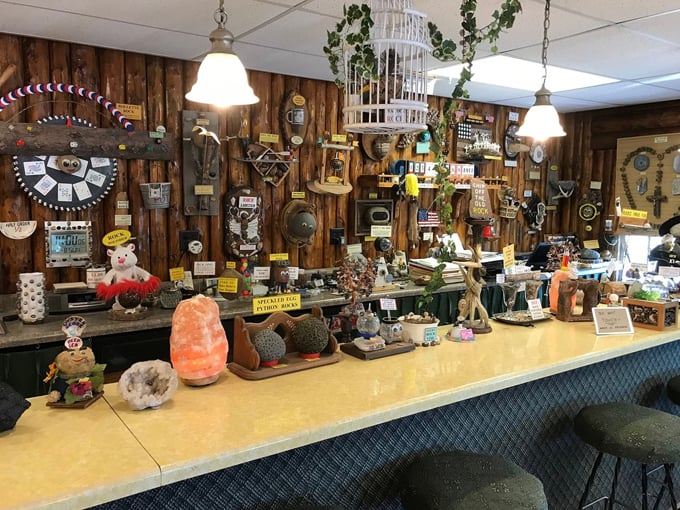 Rocks For Fun Cafe 2