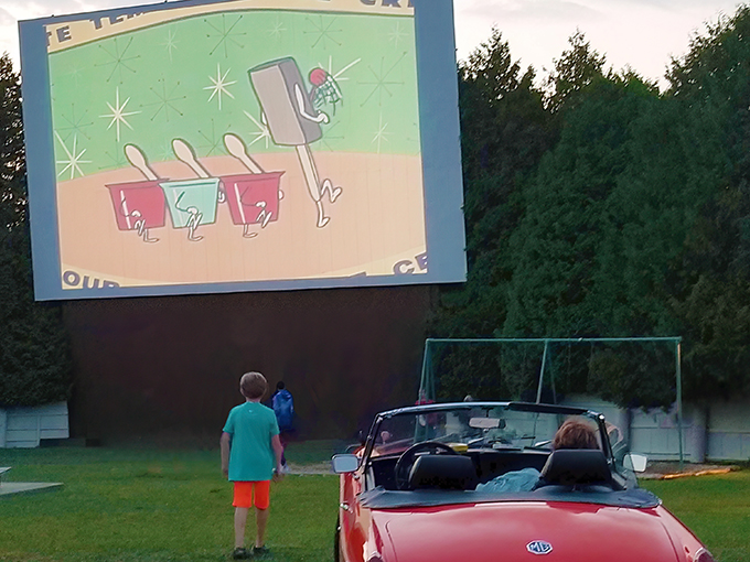 Skyway Drive-In Theatre 1