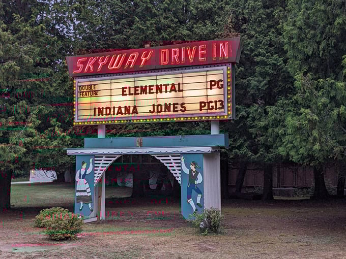 Skyway Drive-In Theatre 2