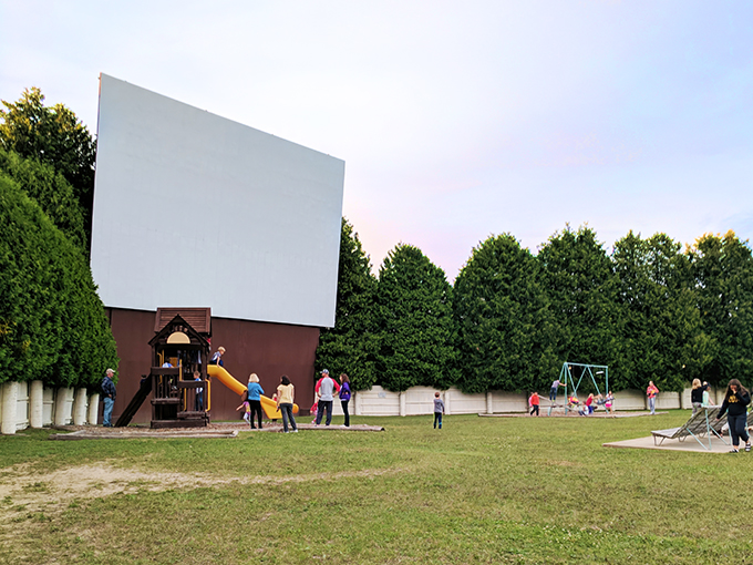 Skyway Drive-In Theatre 4
