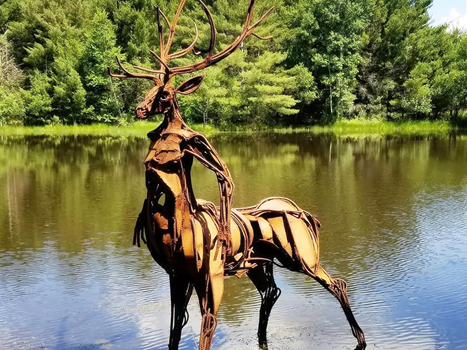 Stevens Point Sculpture Park 1