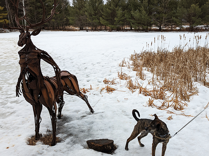 Stevens Point Sculpture Park 5