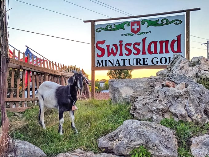 Swissland Miniature Golf 1
