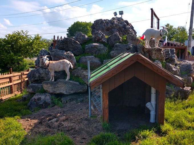 Swissland Miniature Golf 3