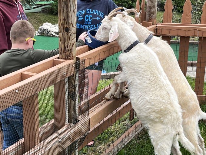 Swissland Miniature Golf 6