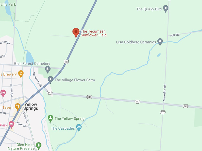 tecumseh sunflower field 10 map