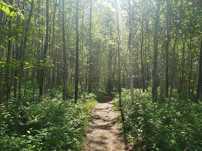 temperance river falls loop 2