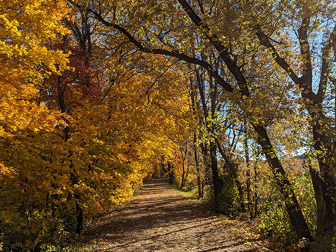 temperance river falls loop 8