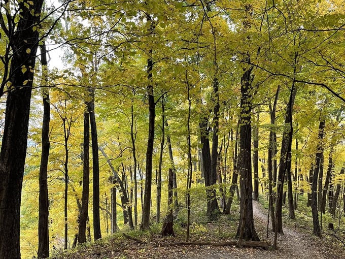 The Bluff Trail in Wyalusing State Park 2