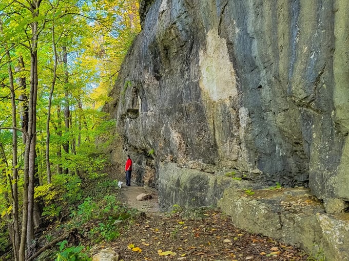 The Bluff Trail in Wyalusing State Park 3