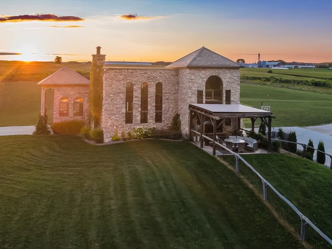 the castle vineyard 1