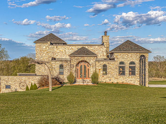 the castle vineyard 2