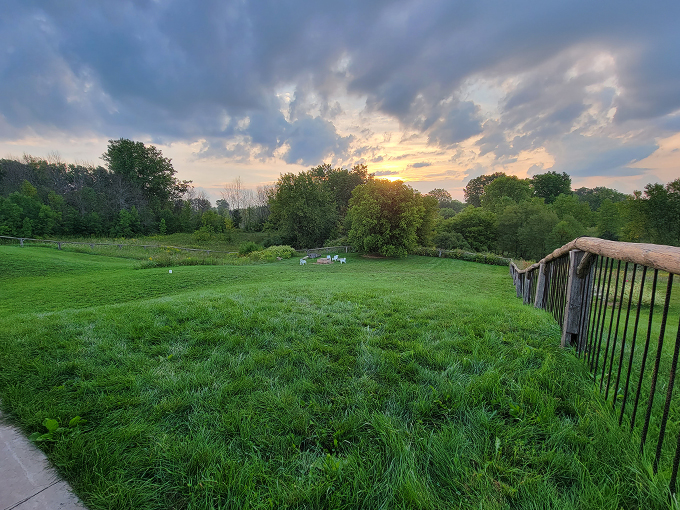 the castle vineyard 4