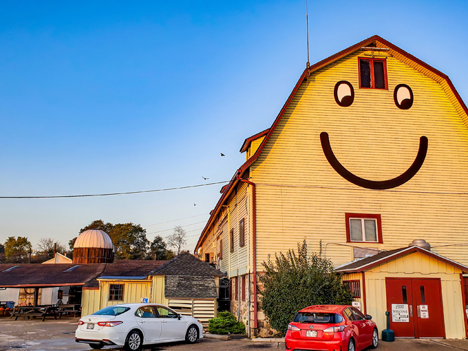 The Elegant Farmer 1