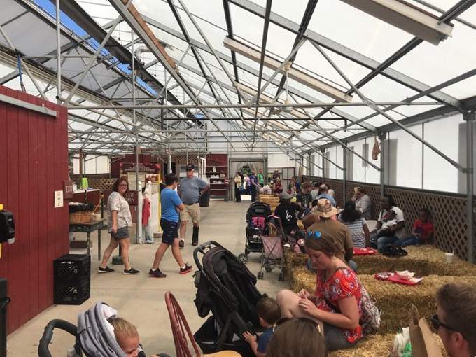 The Elegant Farmer 4