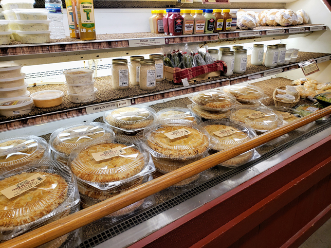 The Elegant Farmer 6