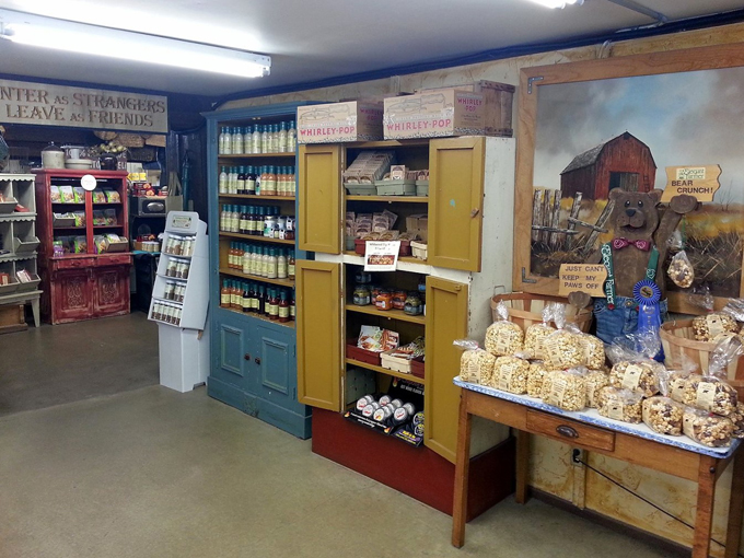 The Elegant Farmer 8