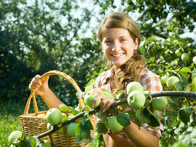 The Elegant Farmer 9