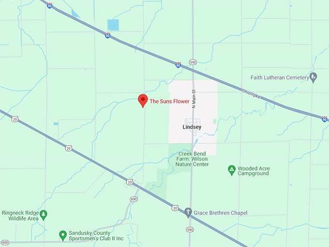 The Suns Flower 10 Map
