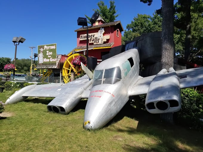 Timber Falls Adventure Park 1