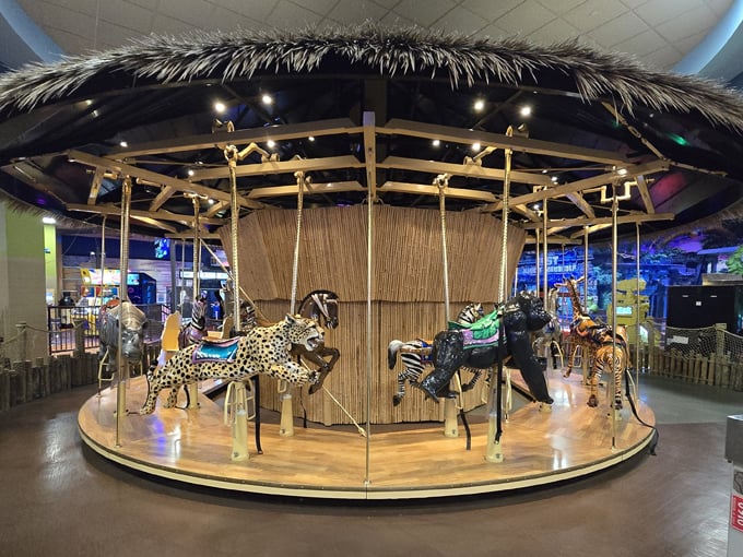 Tom Foolerys Adventure Park 7