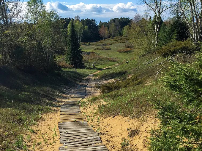 Whitefish Dunes Beach 4