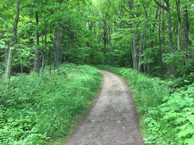 Whitefish Dunes Beach 8