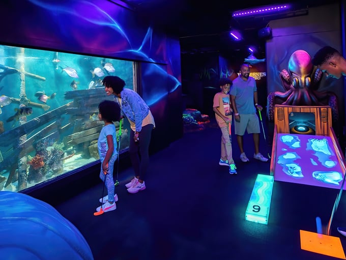 Wilderness Resort Wild Abyss 1