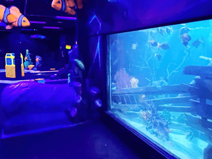 Wilderness Resort Wild Abyss 2