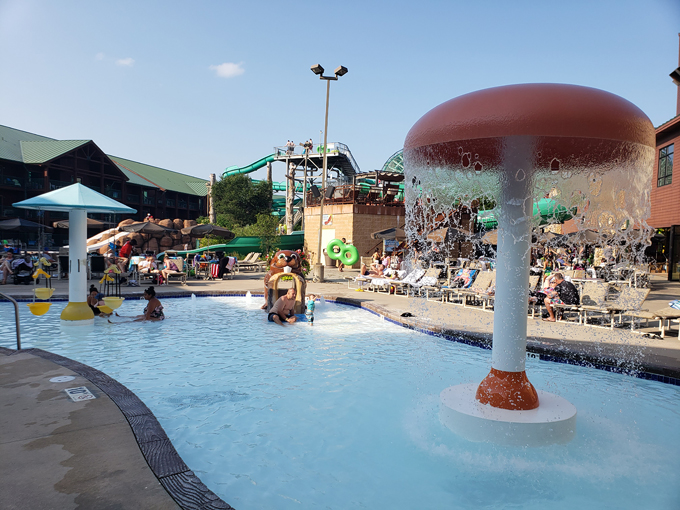 Wilderness Resort Wild Abyss 5